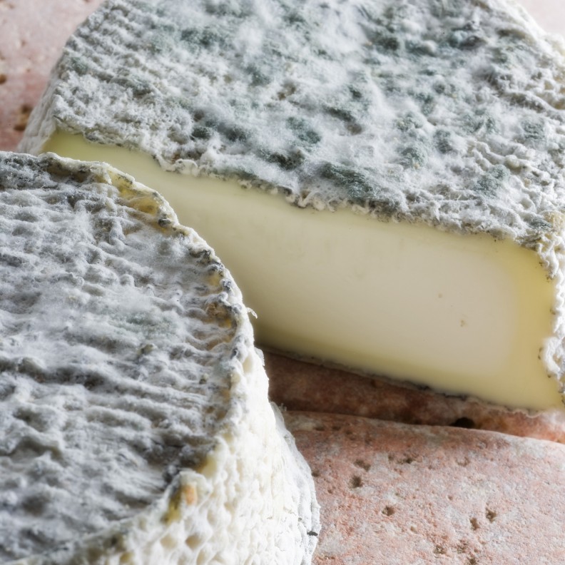 Fromagerie Les Alpages » Selles-sur-Cher